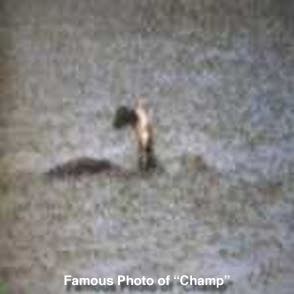 Lake Champlain Creature Underwater Sounds Recorded