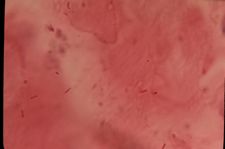The 'Star Cell'