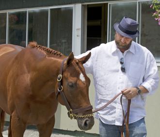 IHA - The Eyes Tell The Story Of A Horse's Pain